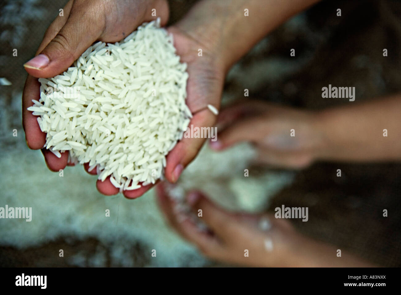 Child’s hands with rice Stock Photo - Alamy
