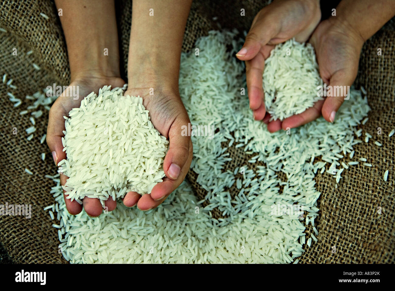 Child’s hands with rice Stock Photo - Alamy