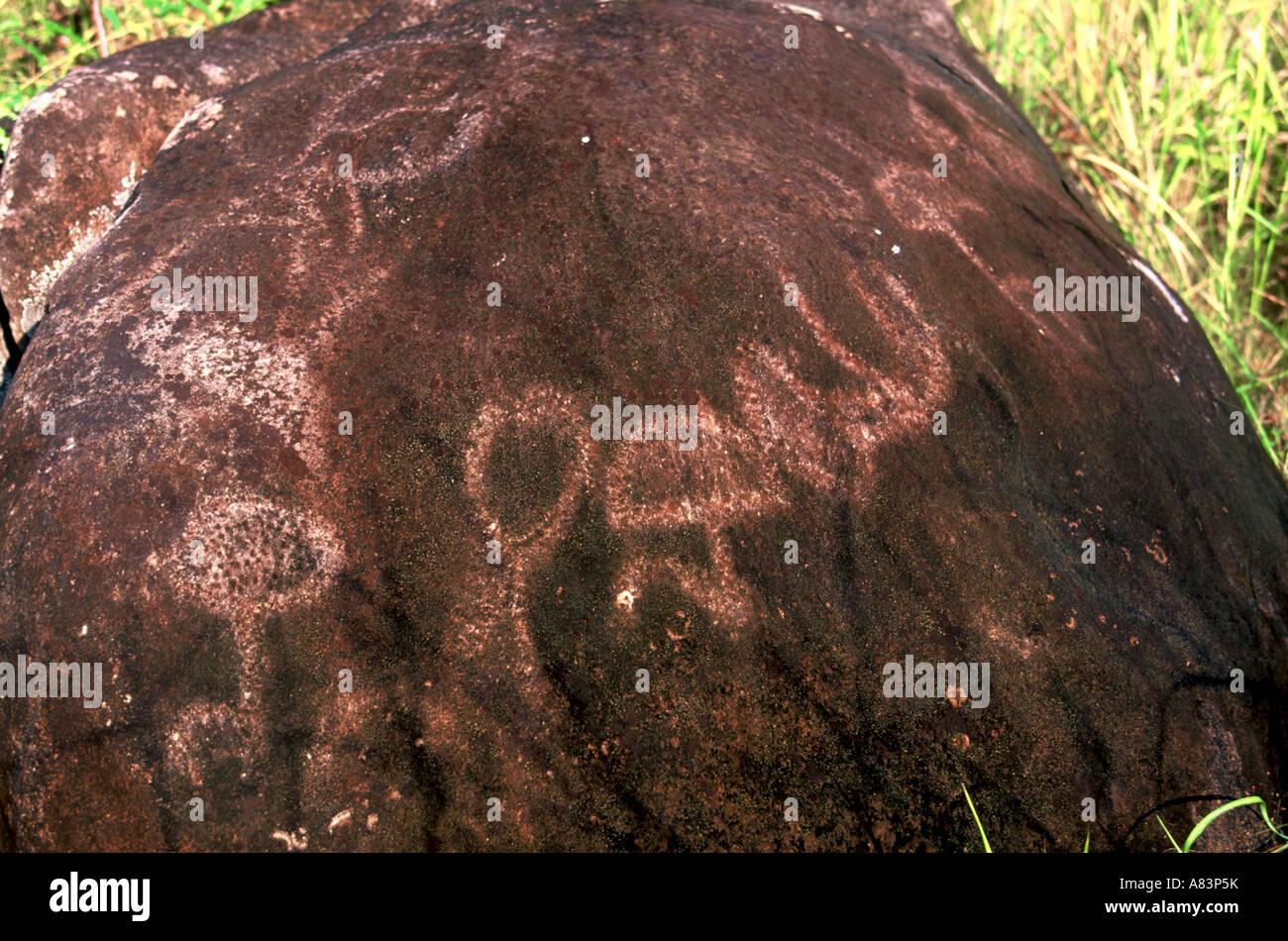 Ancient rock carvings Stock Photo - Alamy