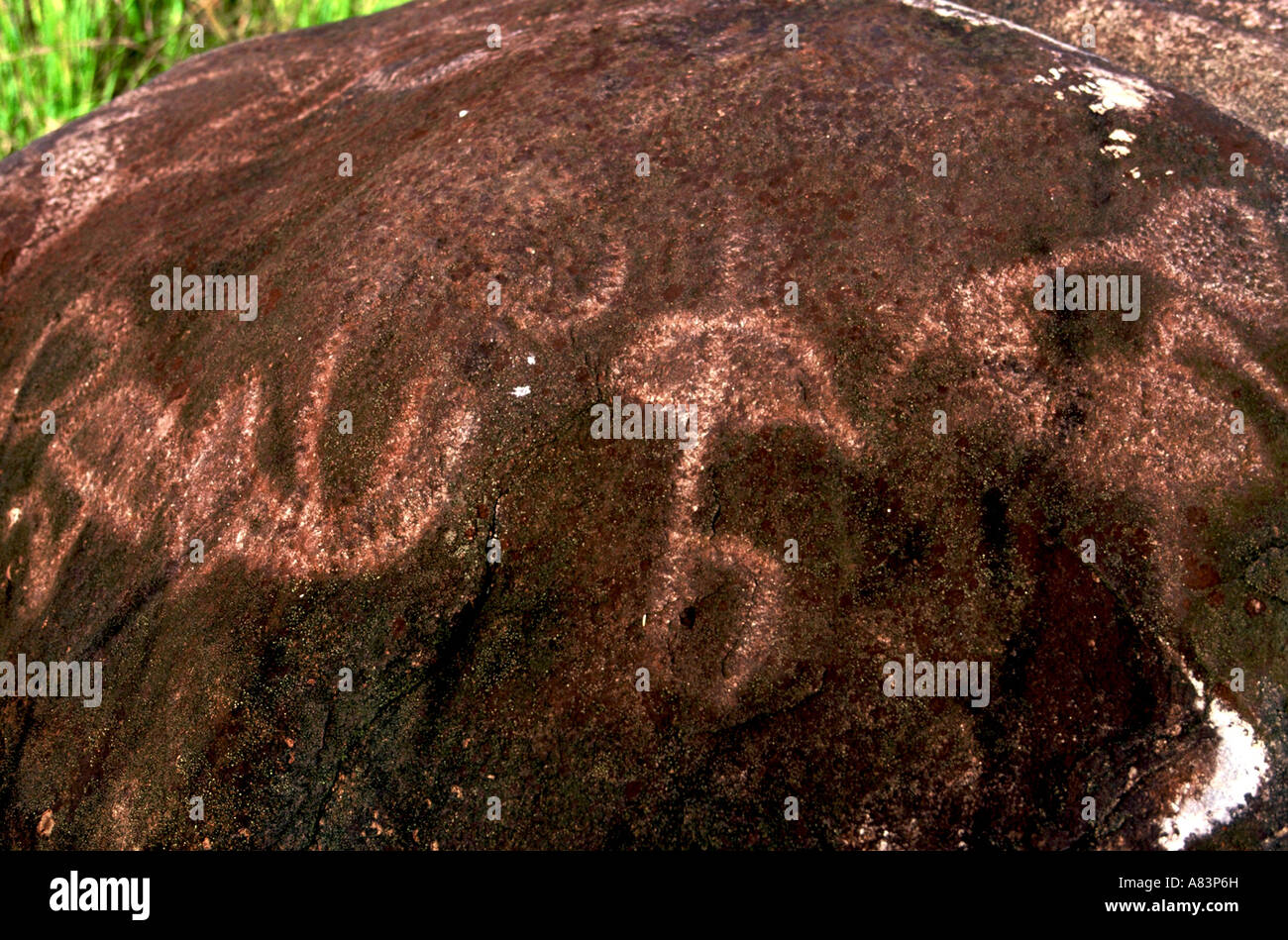 Early bantu rock symbols hi-res stock photography and images - Alamy