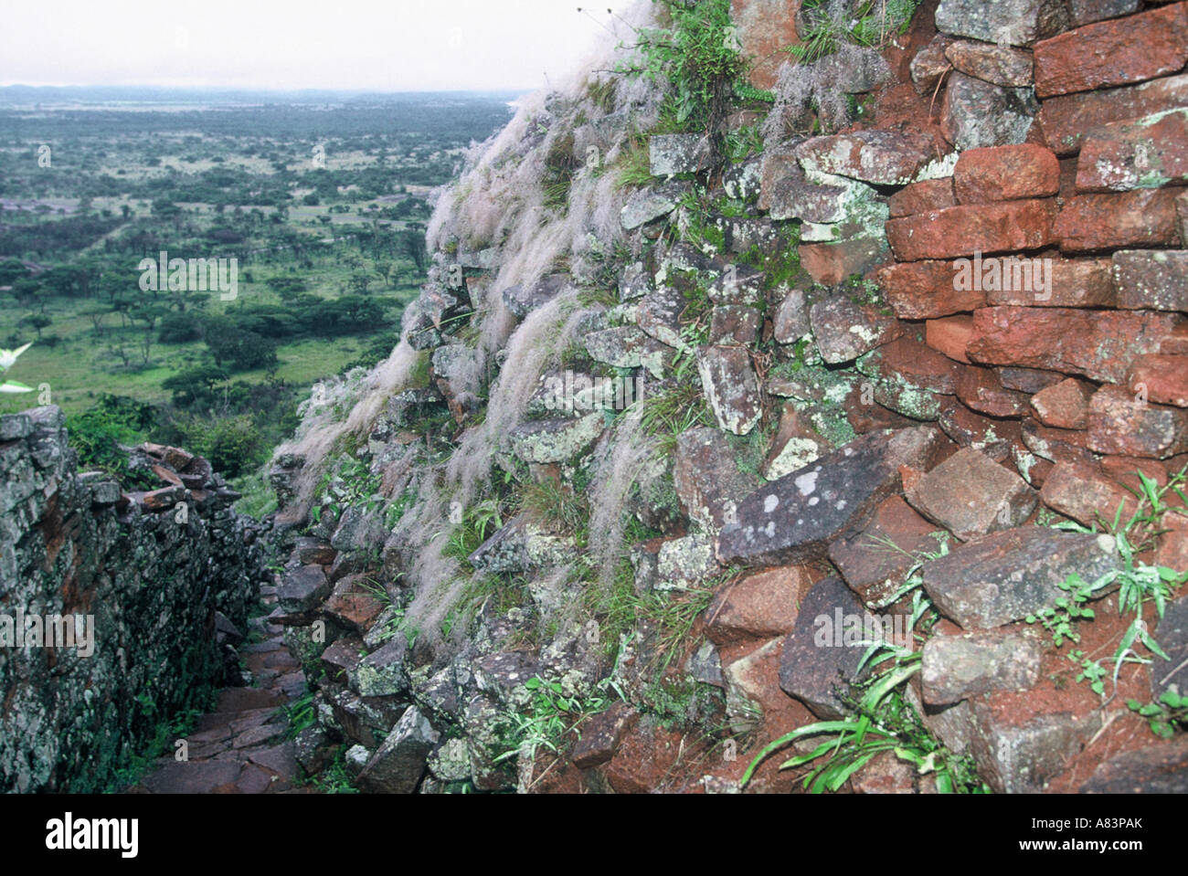 Zimbabweafrica hi-res stock photography and images - Alamy