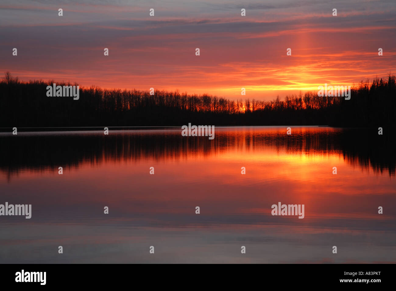 Finger lake alaska hi-res stock photography and images - Alamy