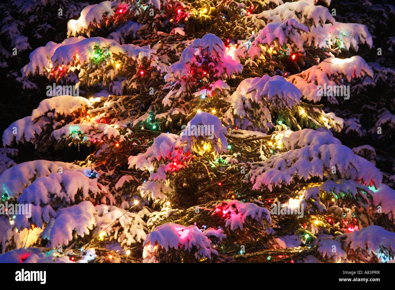 Alaska night snow christmas hi-res stock photography and images - Alamy