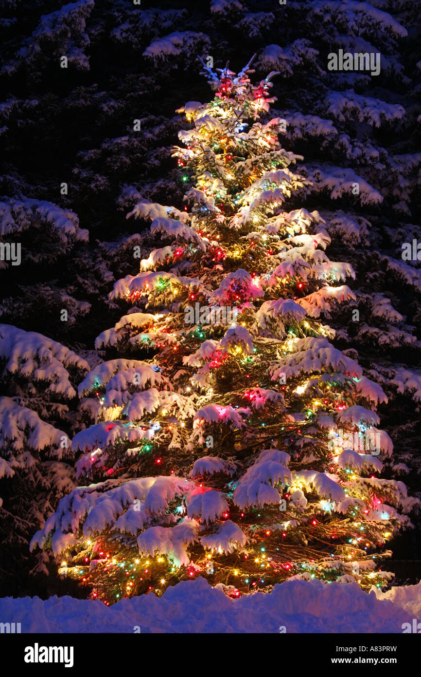 Christmas tree outdoors hi-res stock photography and images - Alamy