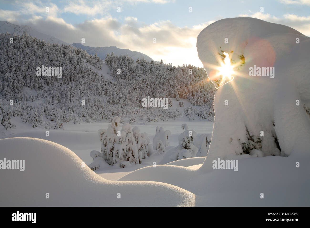 Winter in Turnagain Pass Chugach National Forest Alaska Stock Photo - Alamy