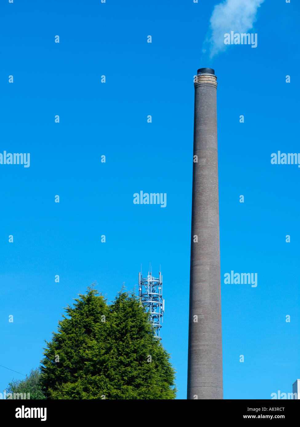 Chimney with steam and tree Stock Photo - Alamy