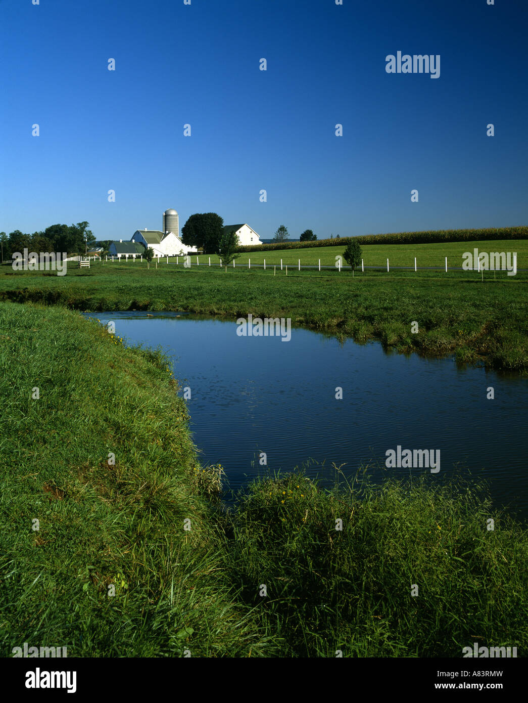 CLEAN STREAM FLOWING THROUGH DAIRY FARM PENNSYLVANIA CAINS ROAD ...
