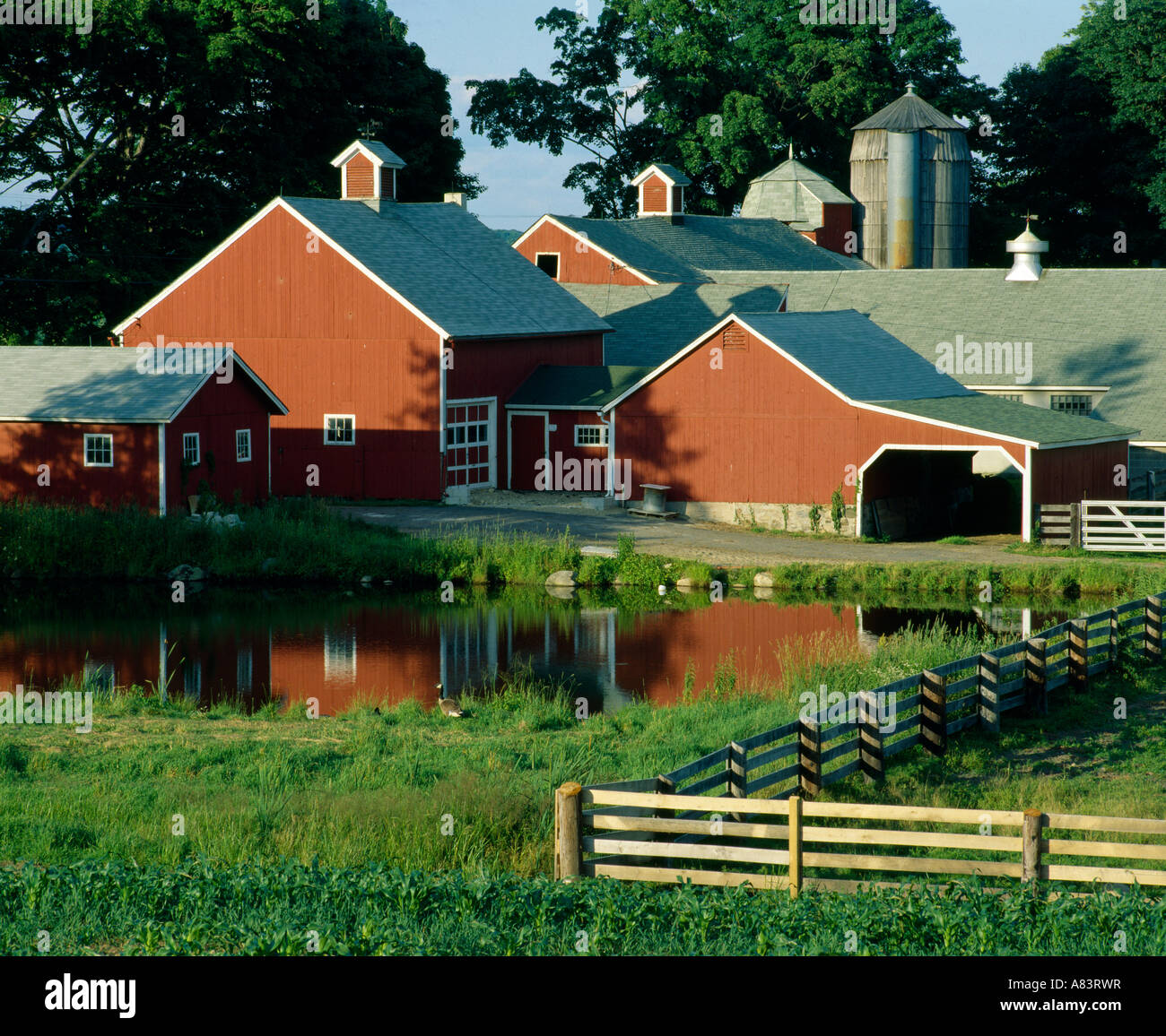 DAIRY FARM CONNECTICUT Stock Photo - Alamy