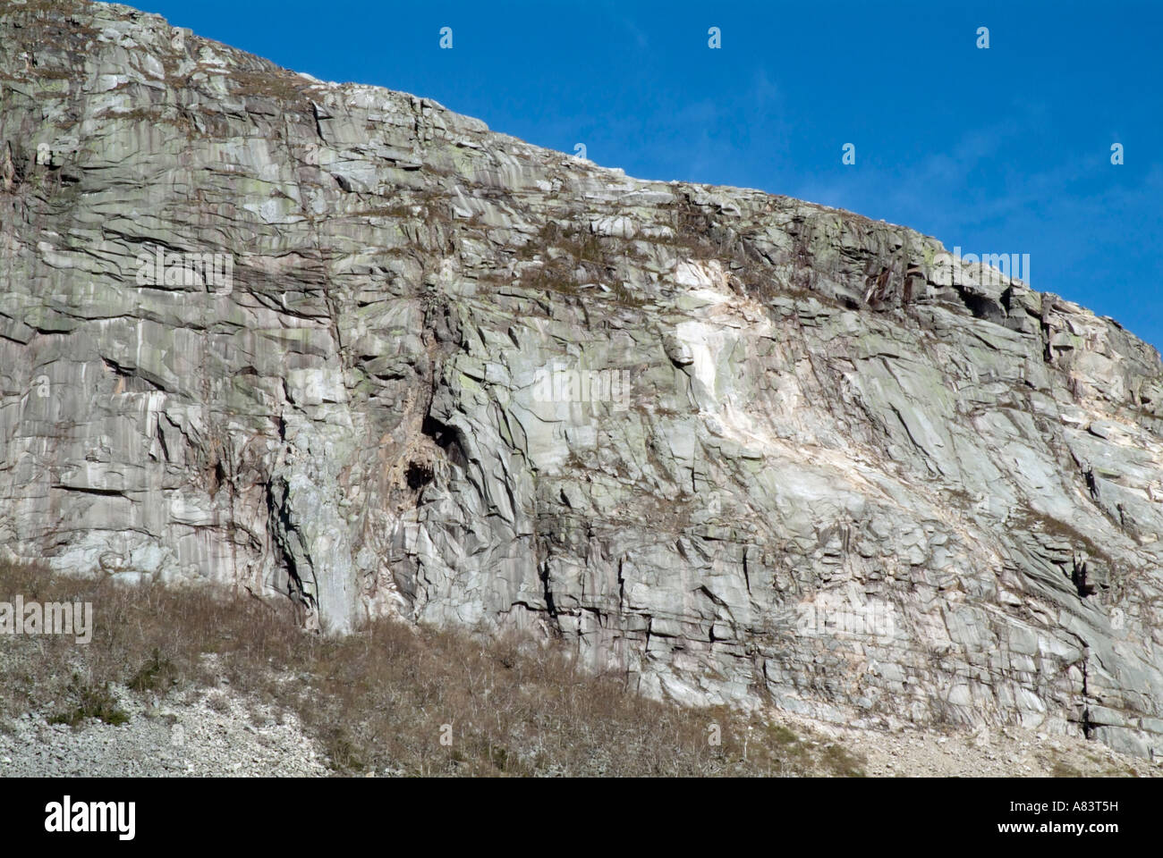 Cannon Cliffs which is on the side of Cannon Mountain Located in ...