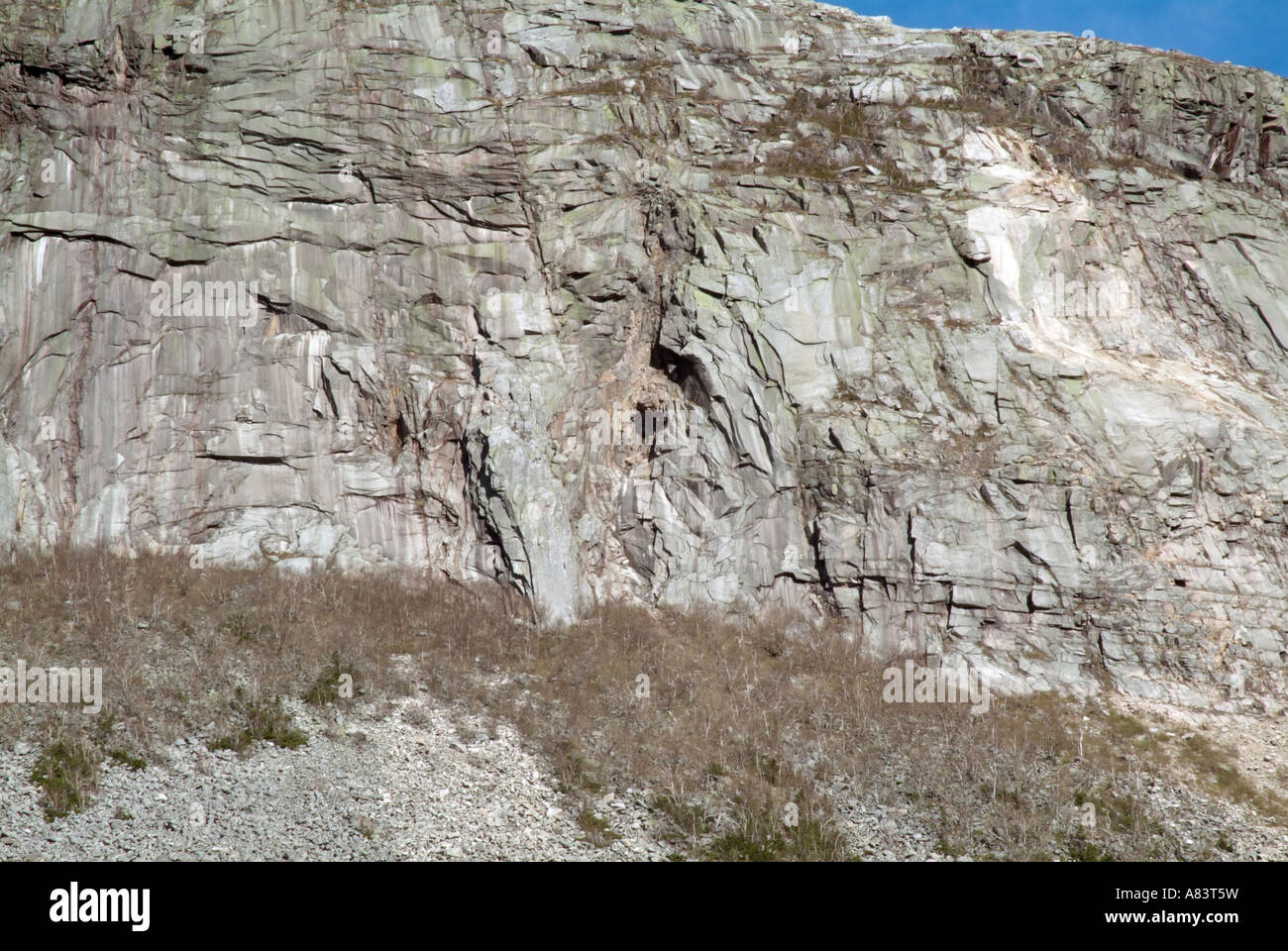 Cannon Cliffs which is on the side of Cannon Mountain Located in ...