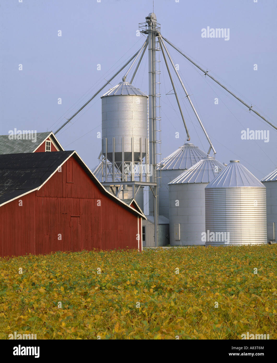 Grain Storage Silos Soybeans High Resolution Stock Photography and ...