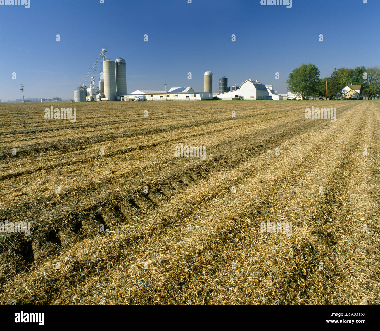 Soybean stubble hi-res stock photography and images - Alamy