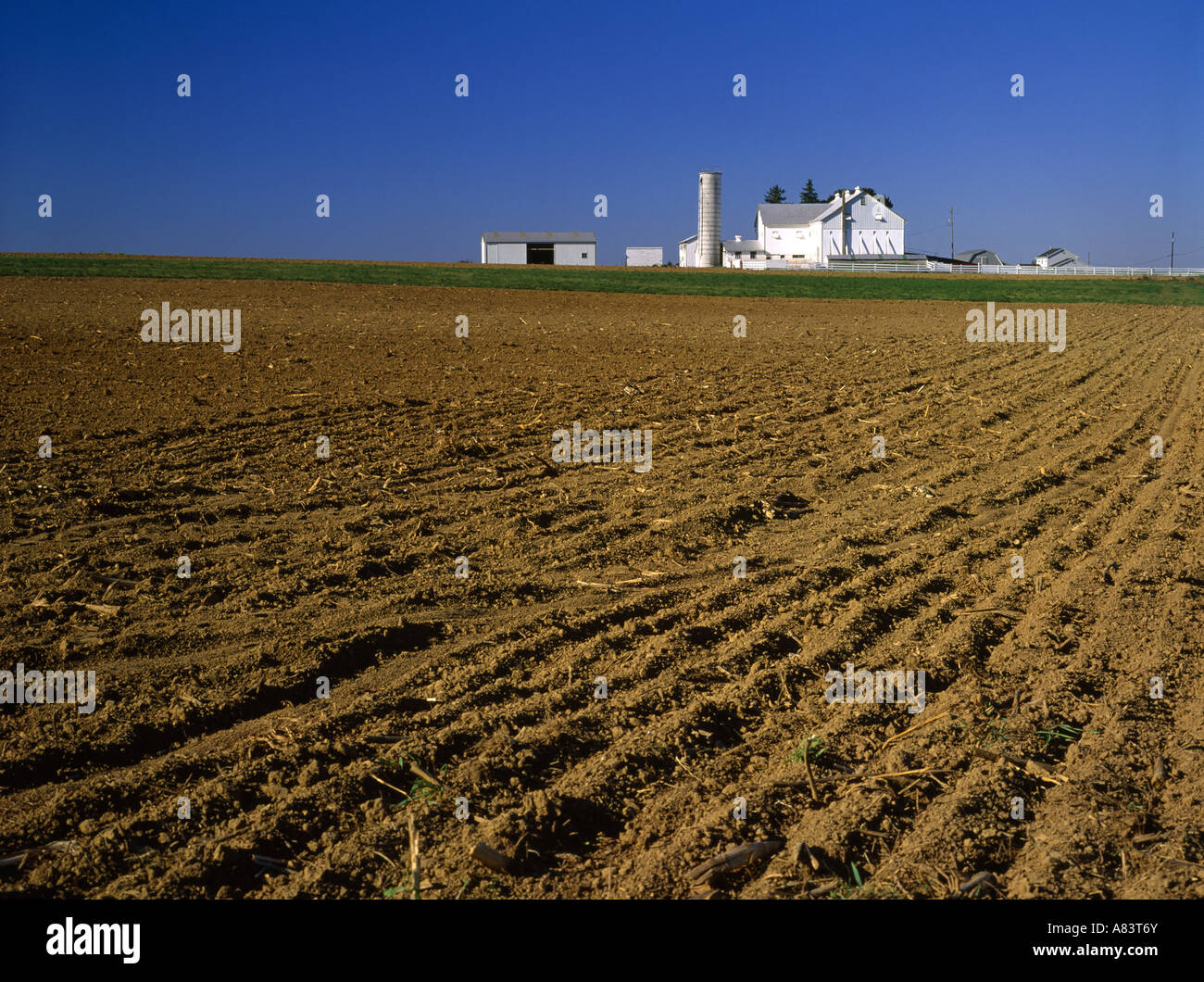 QUIET FARM AFTER CORN HARVEST PENNSYLVANIA Stock Photo - Alamy