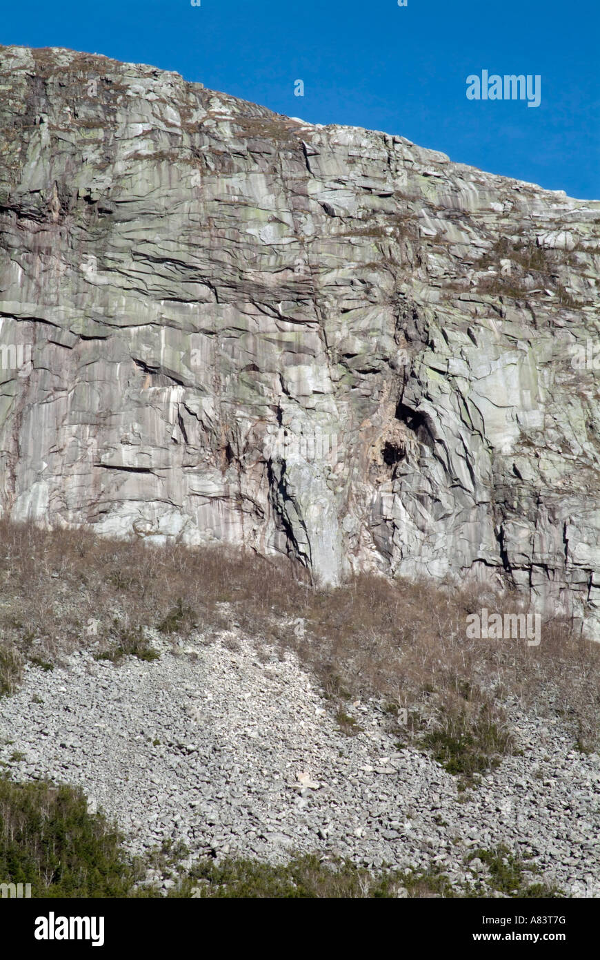 Cannon Cliffs which is on the side of Cannon Mountain Located in ...