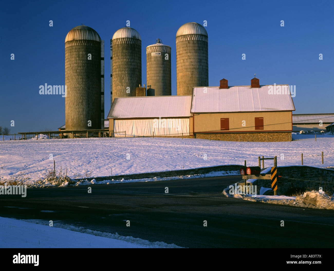 Dairy Farm Silos High Resolution Stock Photography and Images - Alamy
