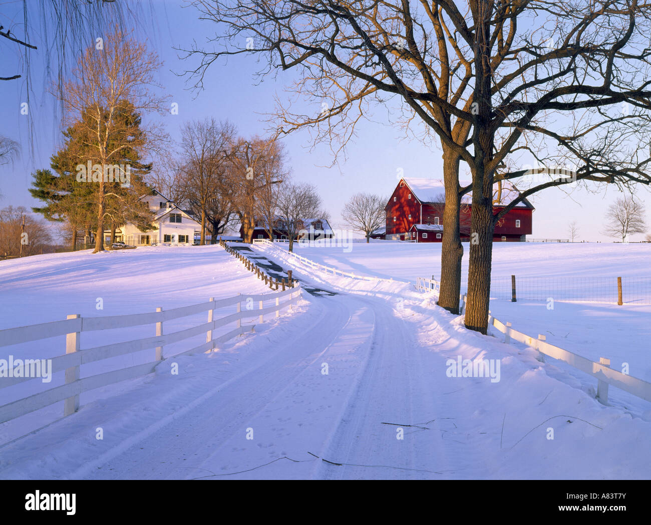 SNOW COVERED ROAD AND FIELDS LEADING TO FARM PENNSYLVANIA Stock Photo ...