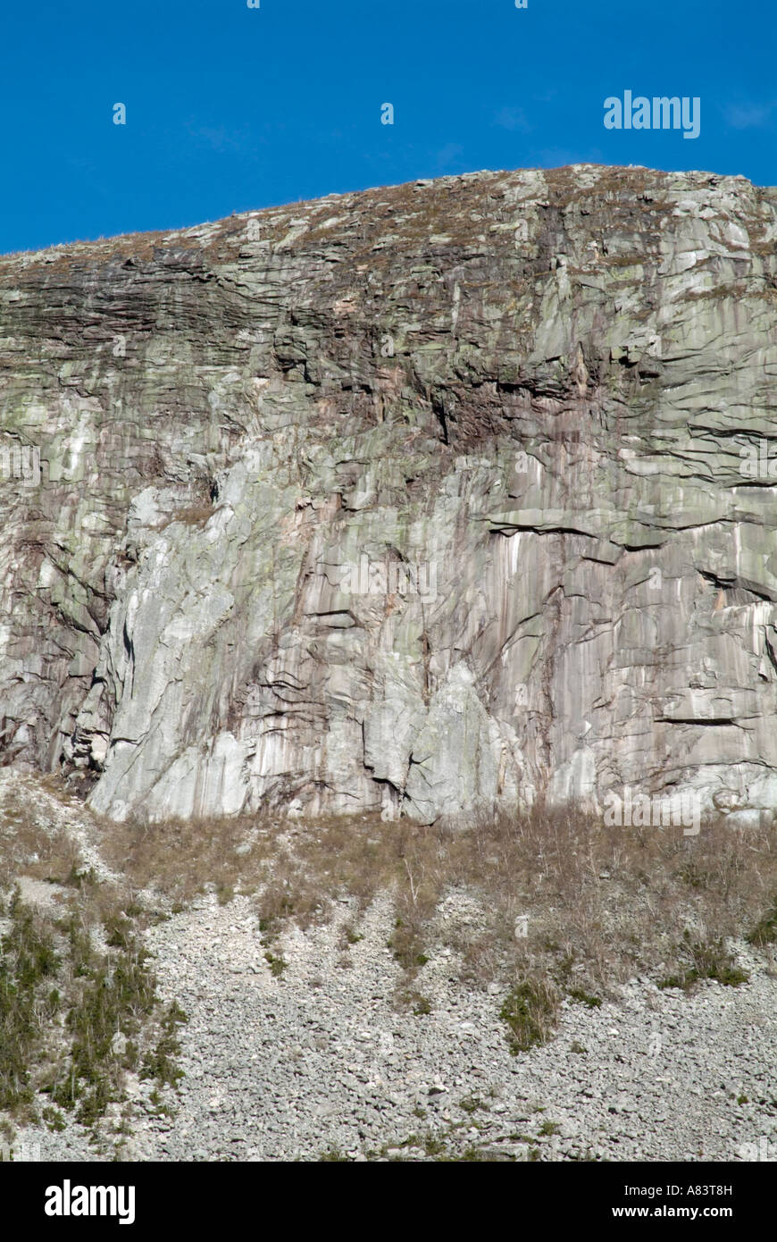 Cannon Cliffs which is on the side of Cannon Mountain Located in ...