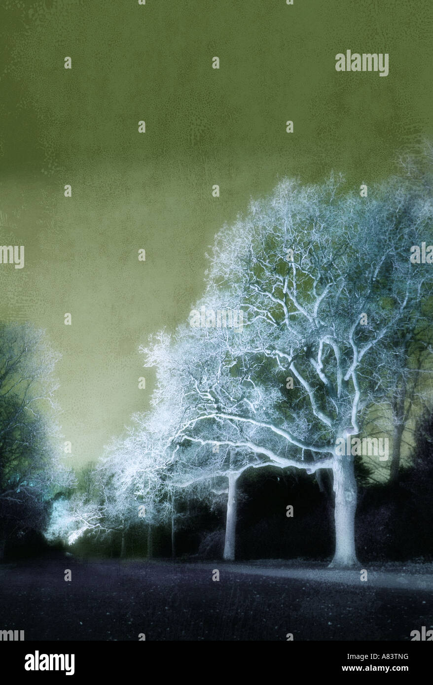 Mark owen Stock Photos & Images from Alamy