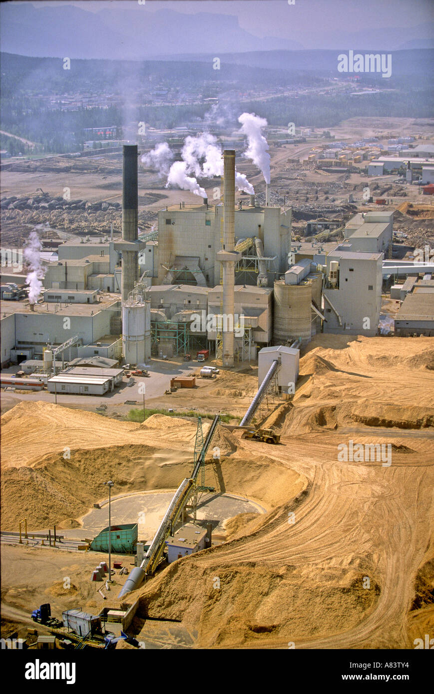 Pulp mill pulpmill processing hi-res stock photography and images - Alamy