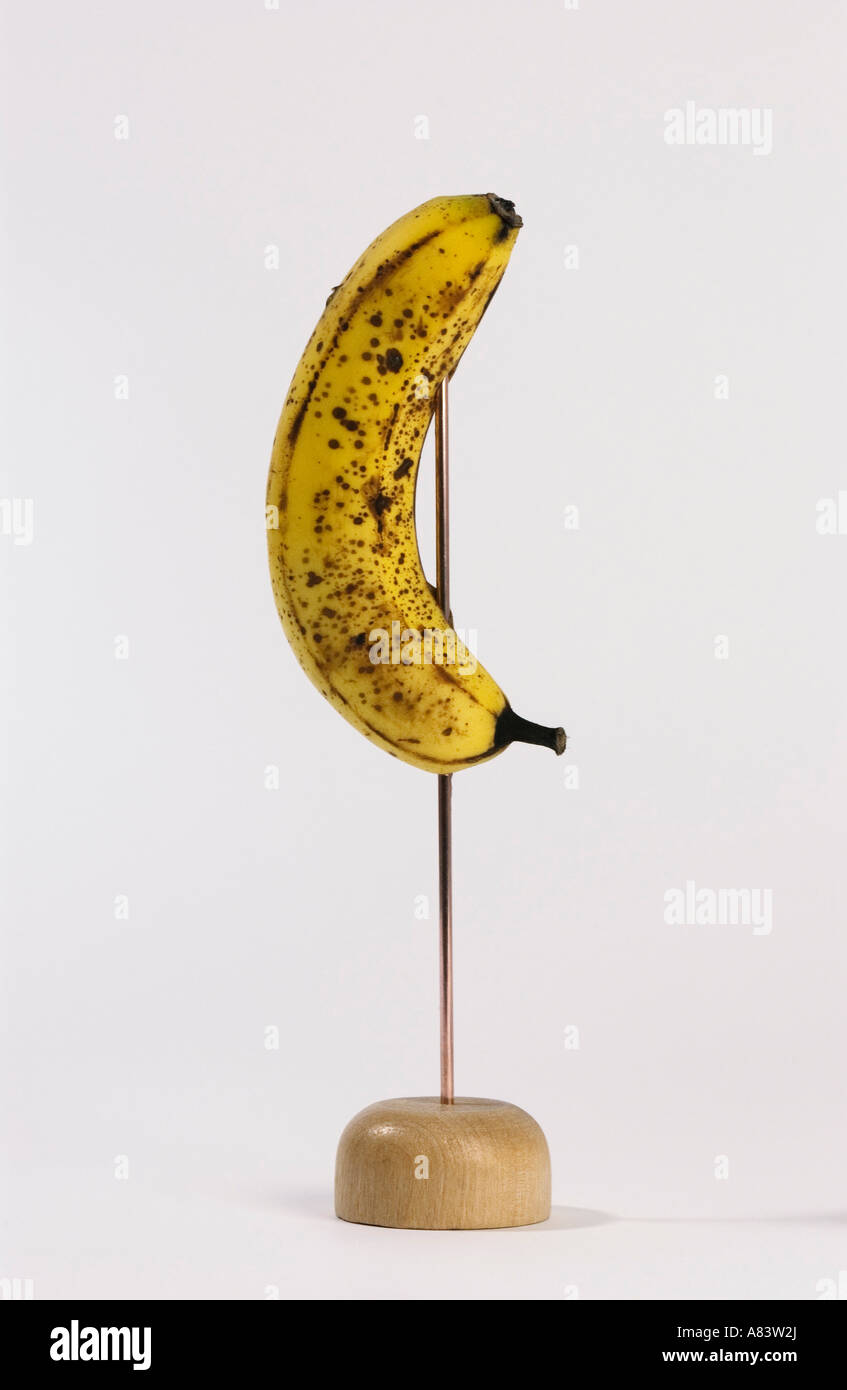 Banana on receipt filing spike on white background Stock Photo - Alamy