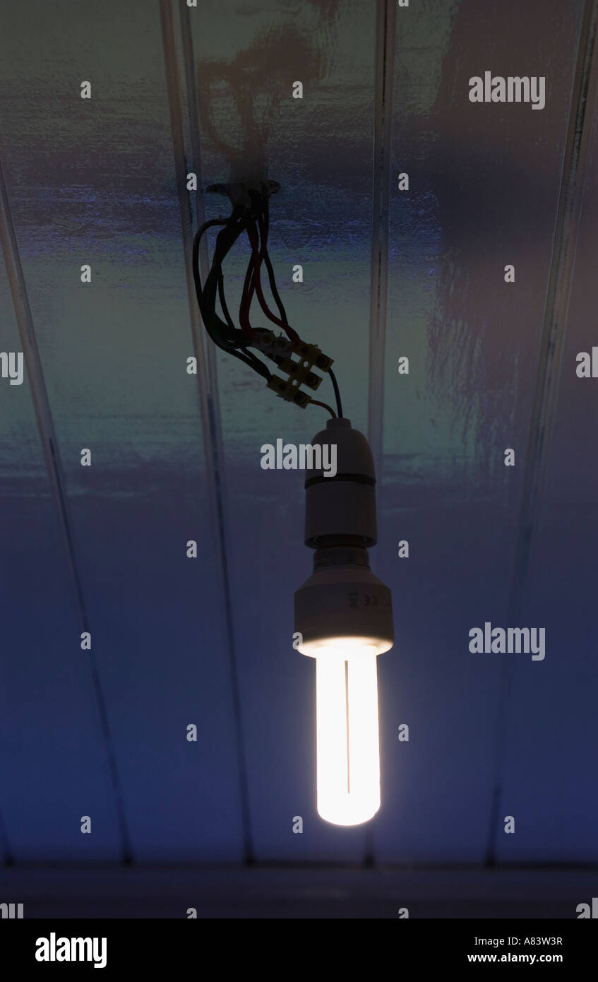 Energy saving light bulb hanging from white painted timber ceiling ...