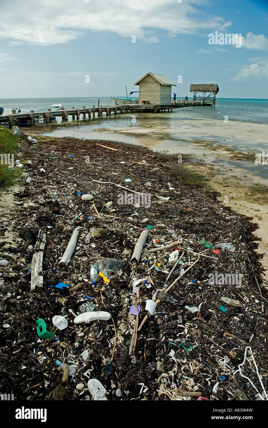 Marine debris along the beach of Middle Caye, Belize Stock Photo - Alamy