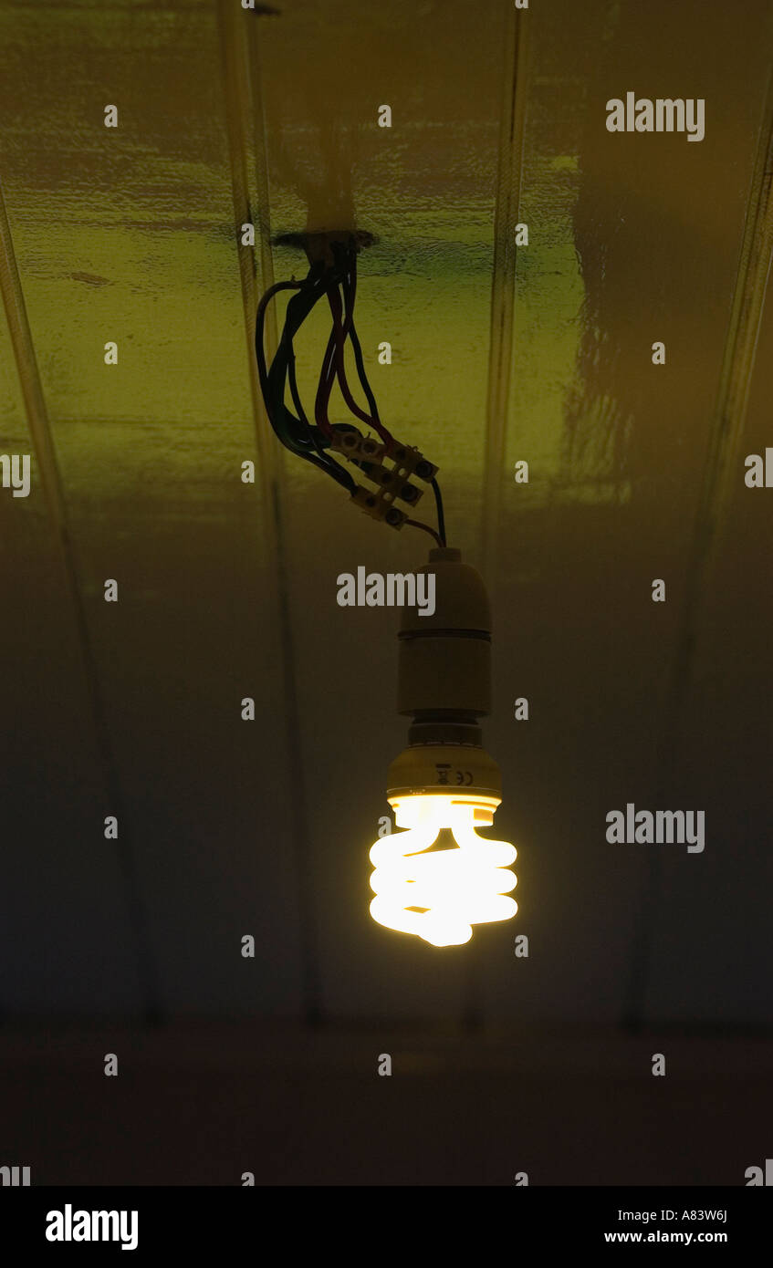 Painted electric light bulb hi-res stock photography and images - Alamy