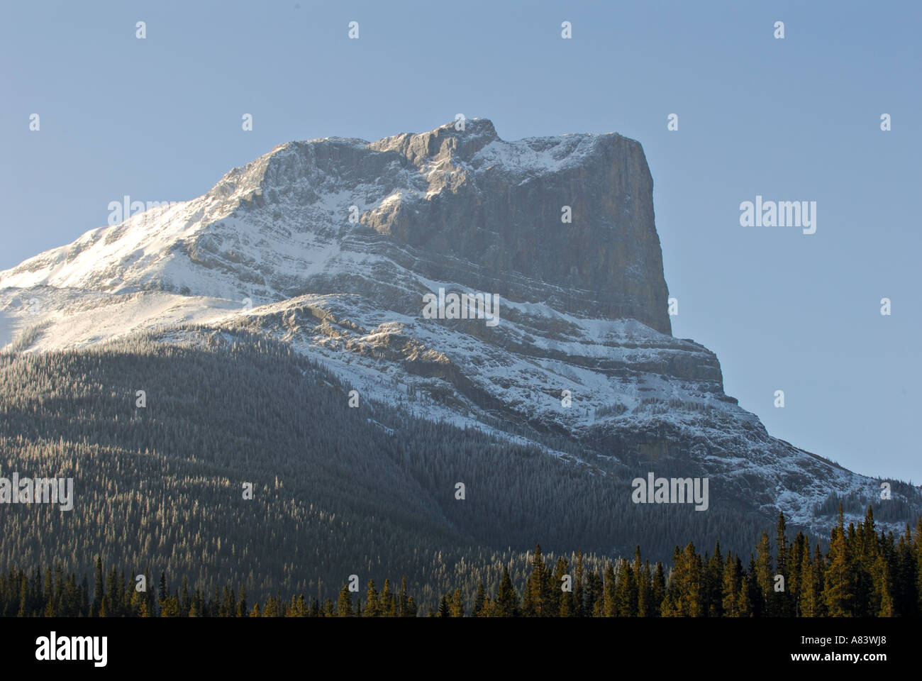 Roche Miette mountain 12 Stock Photo - Alamy