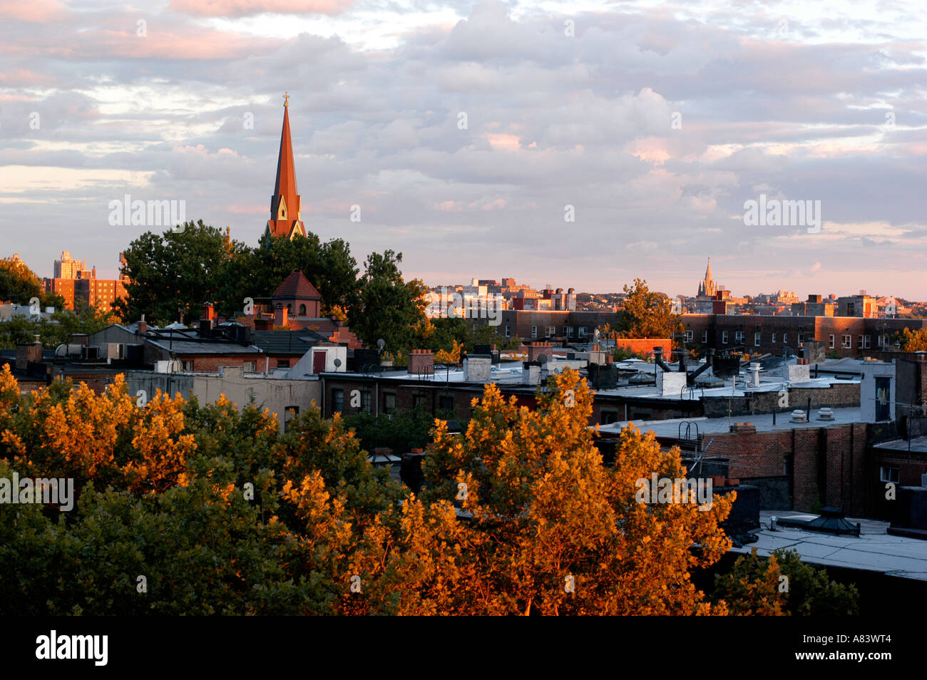 Cobble Hill New York