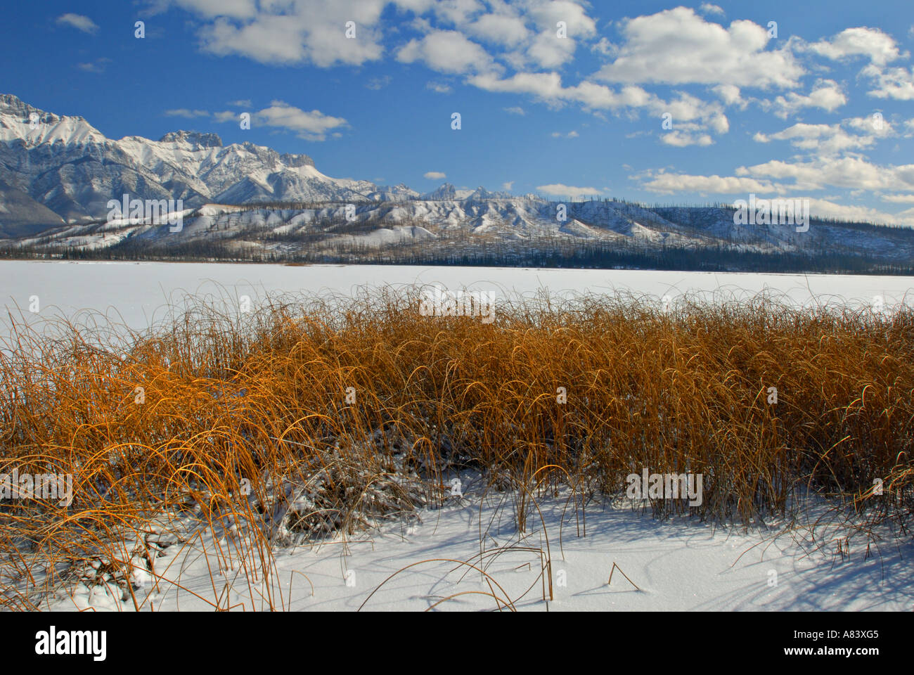 Frozen Talbot Lake Jasper National Park High Resolution Stock ...
