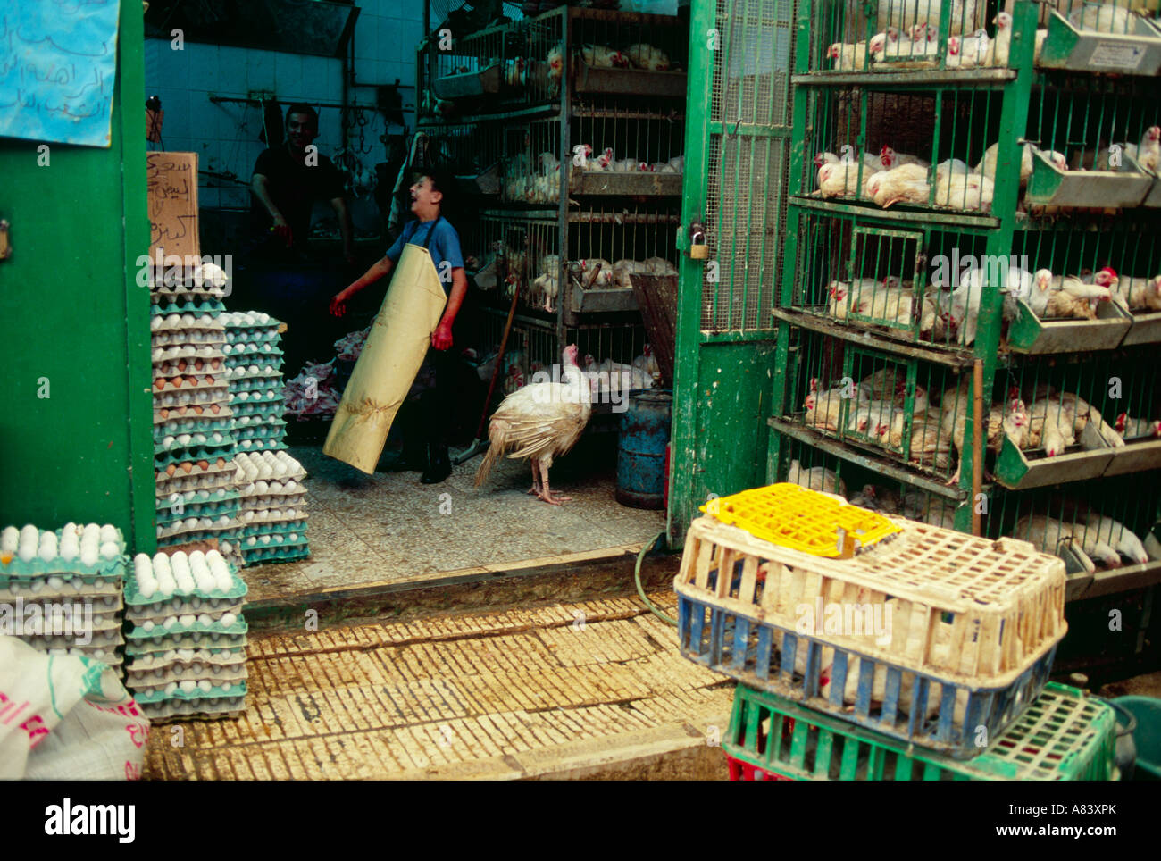 Nablus palestine market hi-res stock photography and images - Alamy