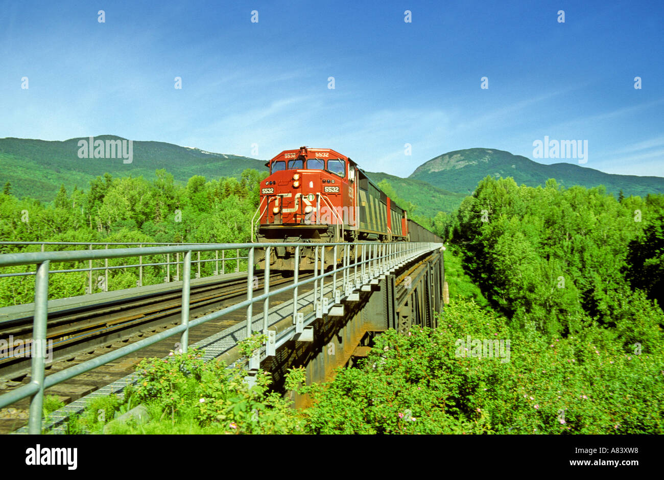 Train on the bridge Stock Photo - Alamy