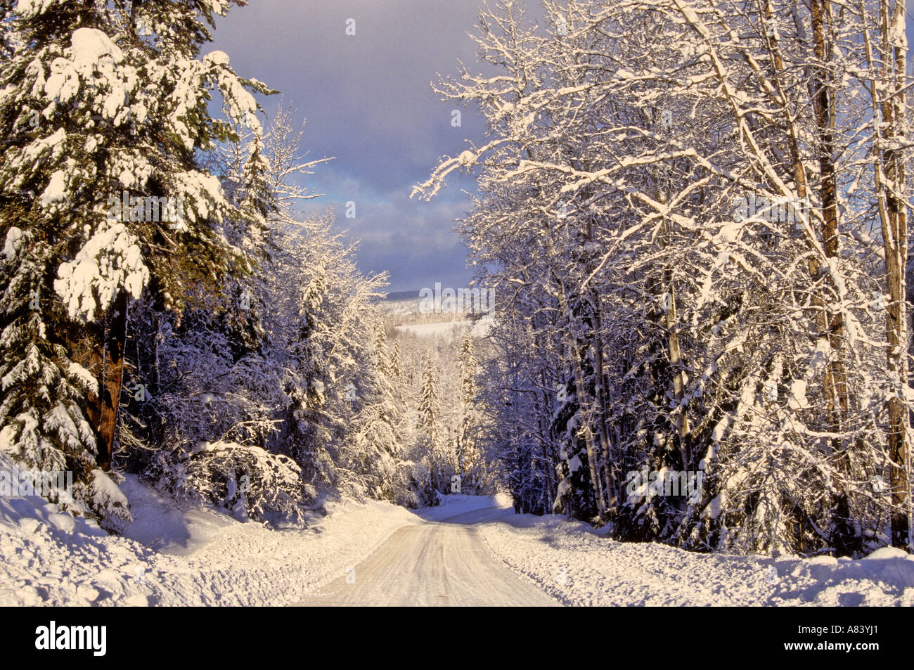 Rural winter roads hi-res stock photography and images - Alamy