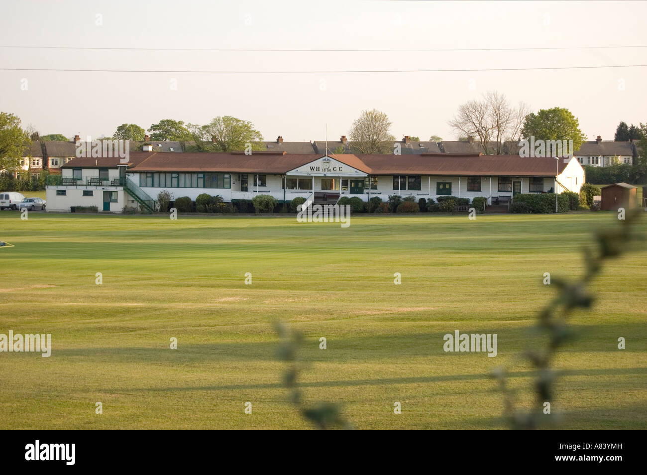 European house cricket hi-res stock photography and images - Alamy