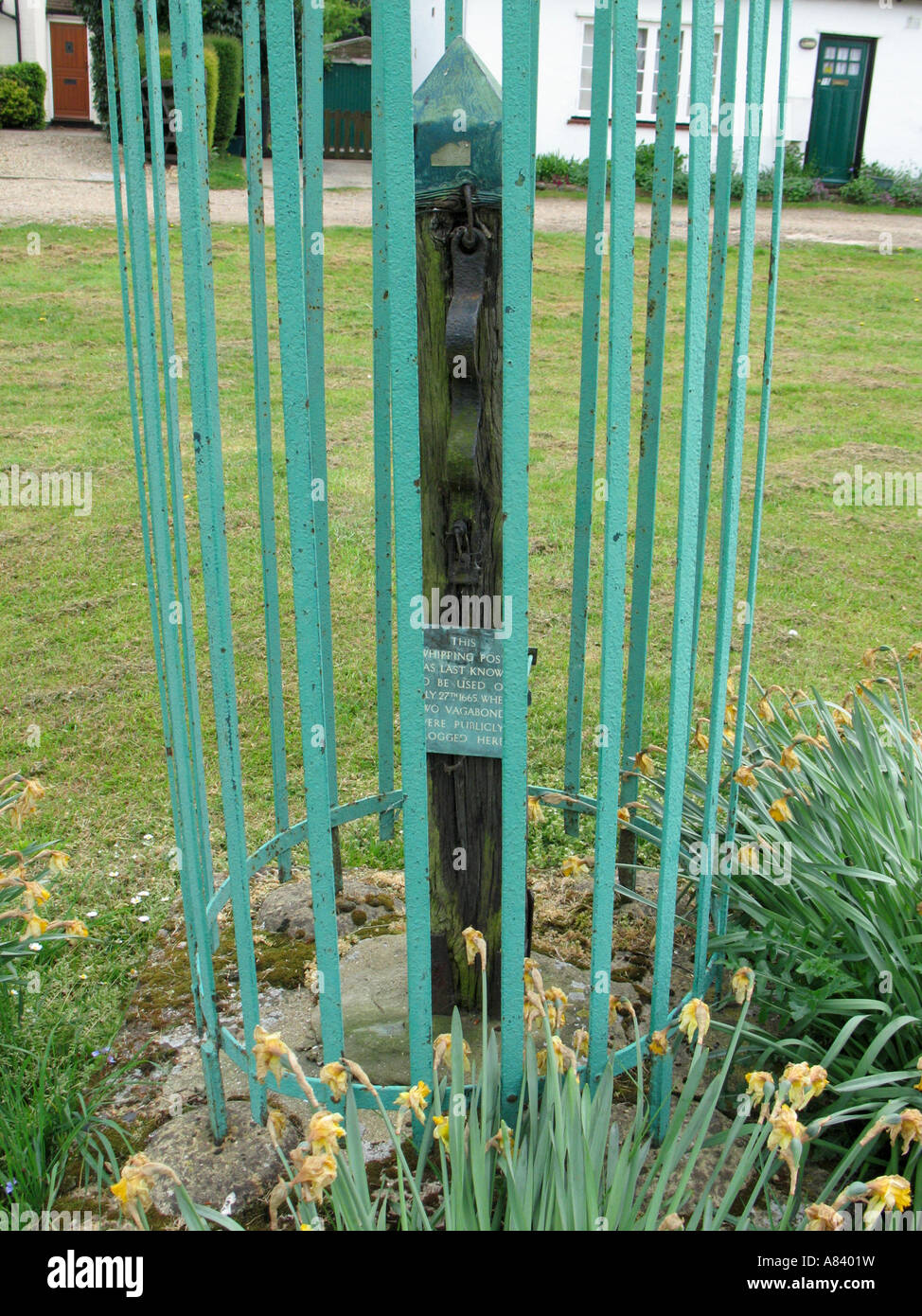 Colonial Whipping Post