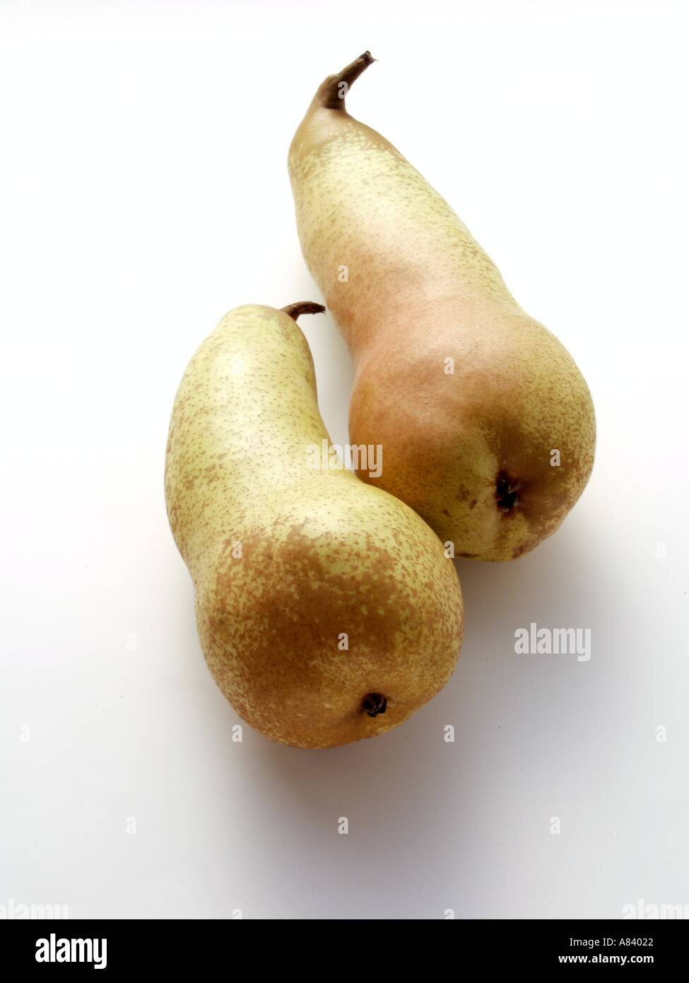 Two bosc pears hi-res stock photography and images - Alamy