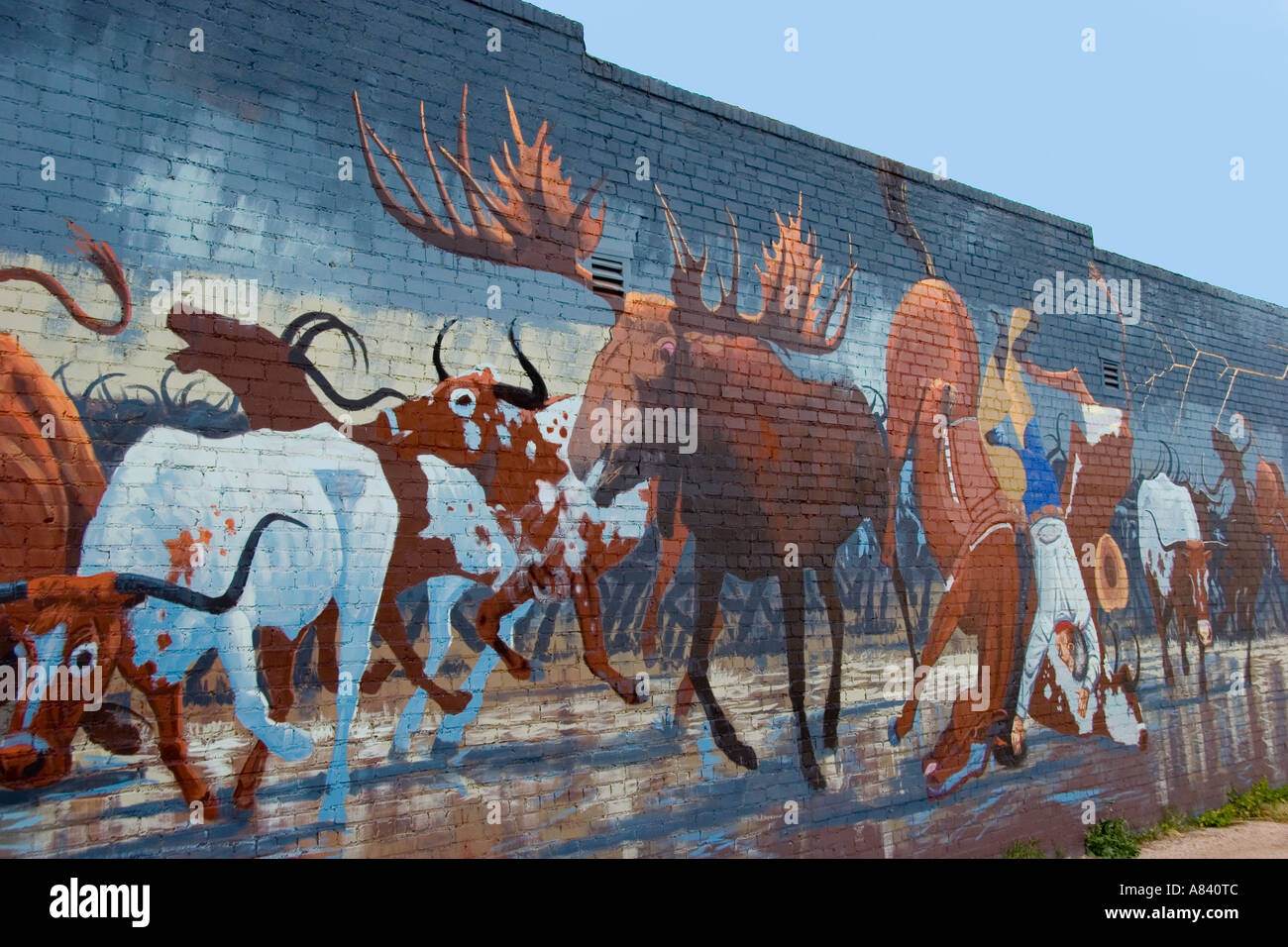 Cowboys cattle mural hi-res stock photography and images - Alamy