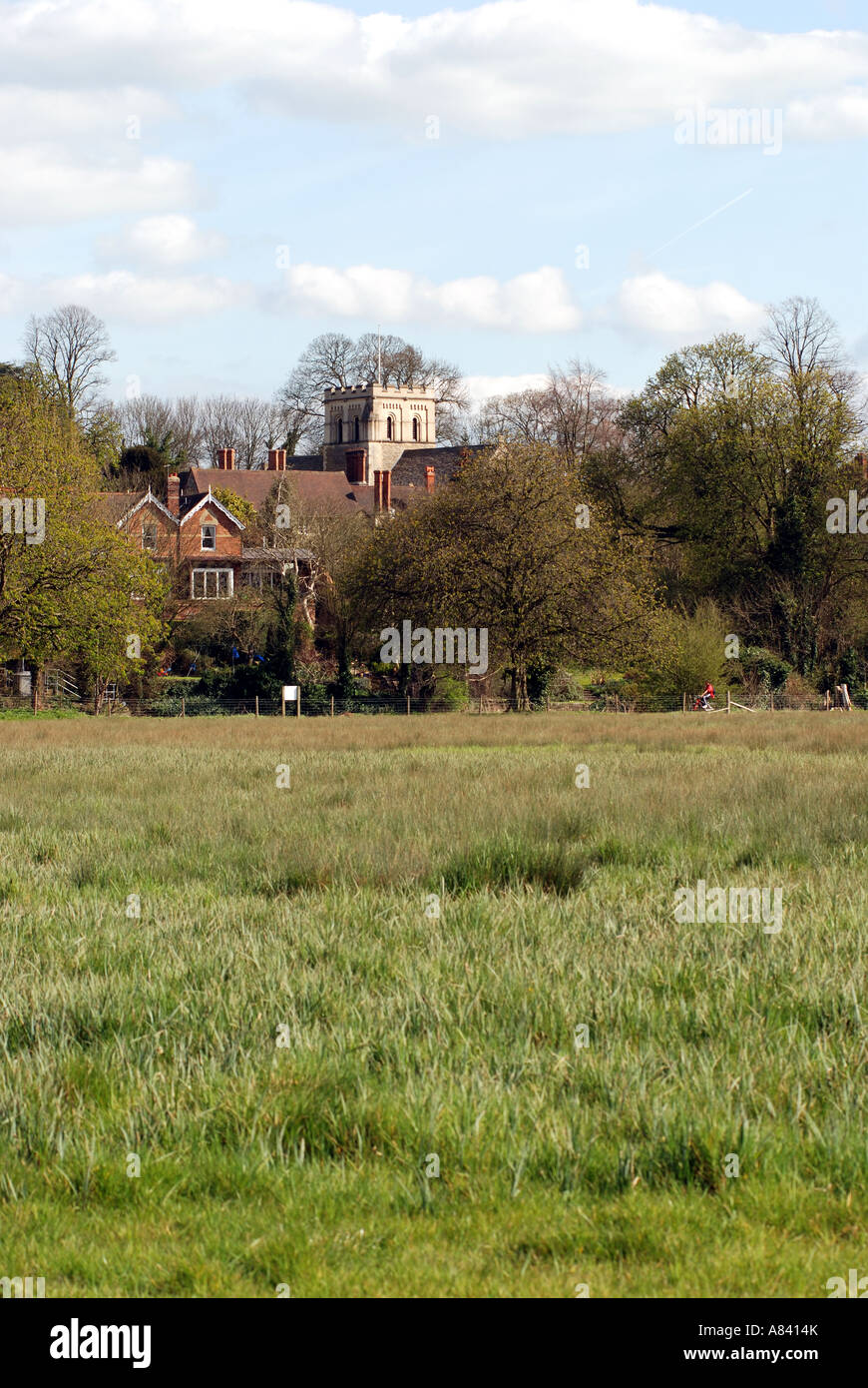 View towards St. Mary`s Church, Iffley, from Iffley Meadows, Oxford ...