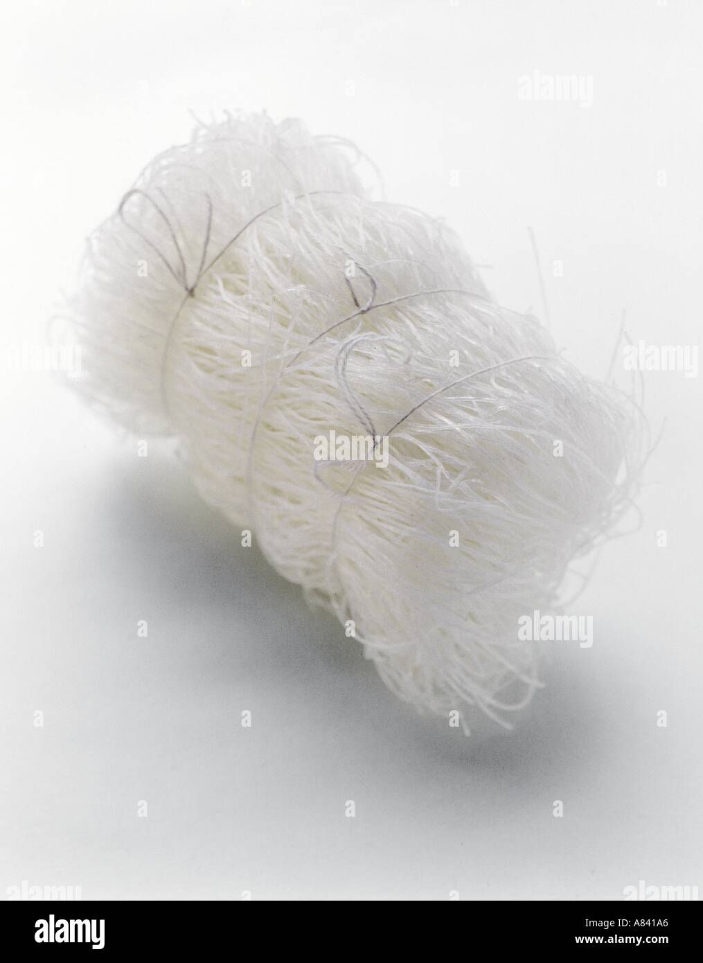 A Bundle Of Cellophane Noodles Stock Photo - Alamy