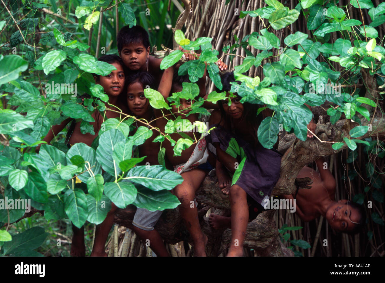 Gilbertese hi-res stock photography and images - Alamy