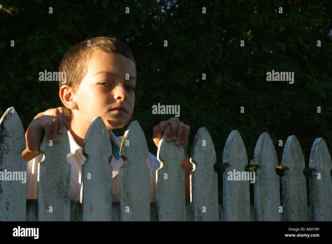 Peering Over Fence Stock Photos & Peering Over Fence Stock Images - Alamy