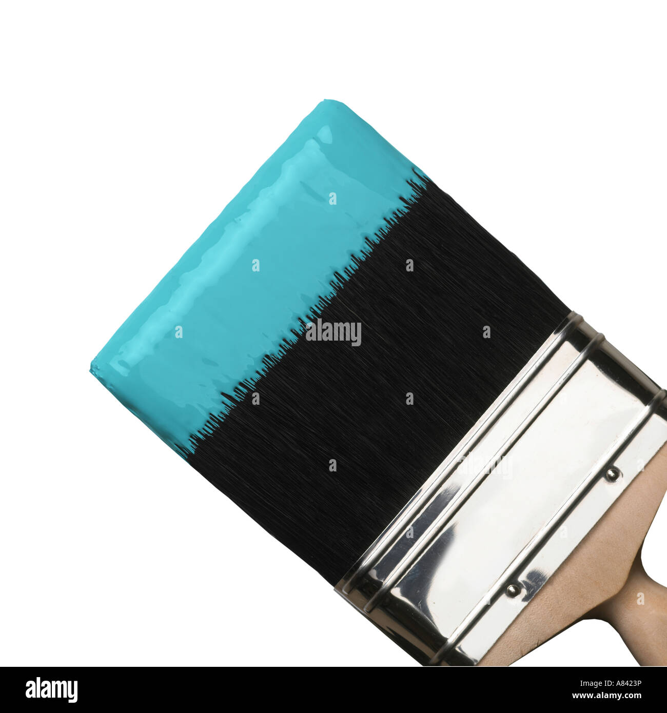 PAINT BRUSH WITH TURQUOISE PAINT ON BRISTLES Stock Photo - Alamy