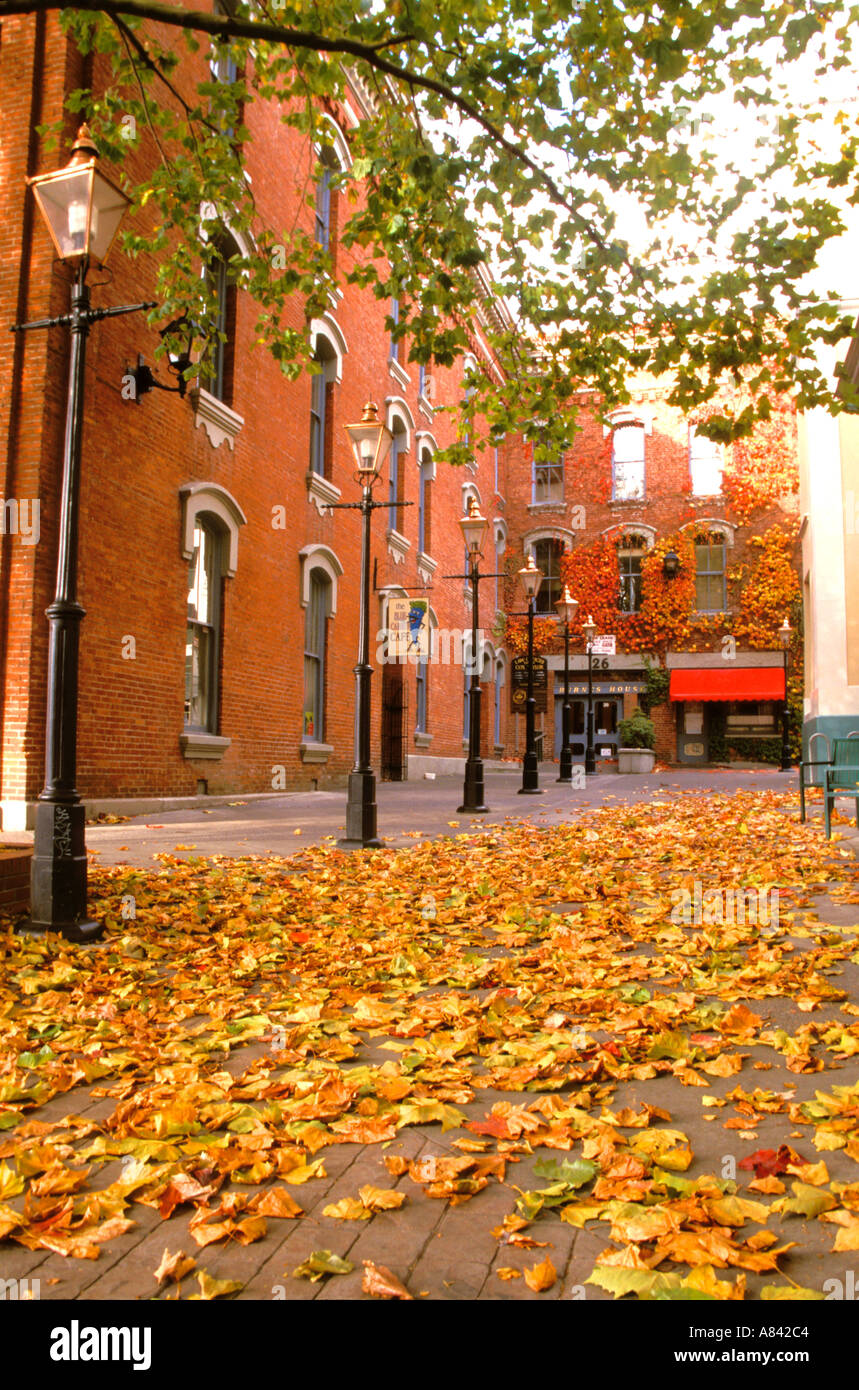 Fall in Victoria Canada Stock Photo - Alamy