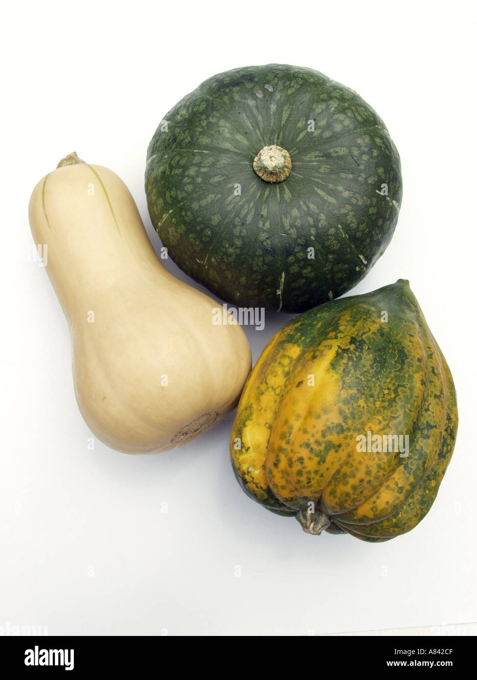 Three Types of Squash Stock Photo - Alamy