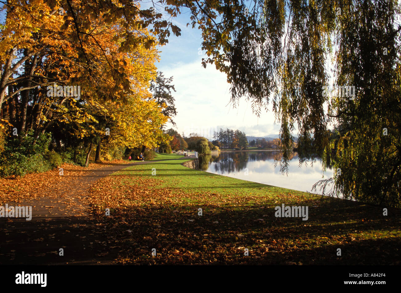 Fall in Victoria Canada Stock Photo - Alamy