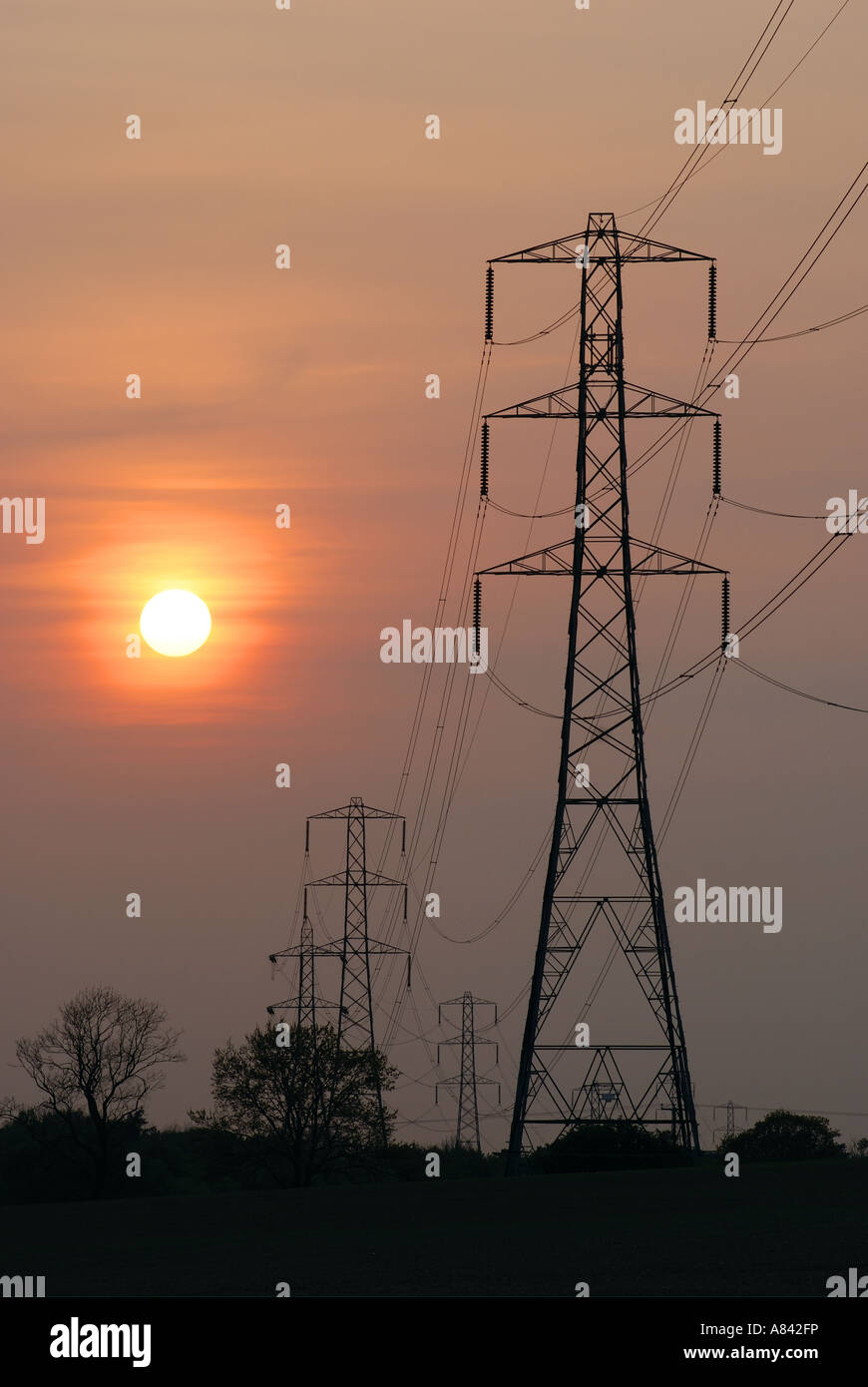 Electricity pylons at sunset, UK Stock Photo - Alamy