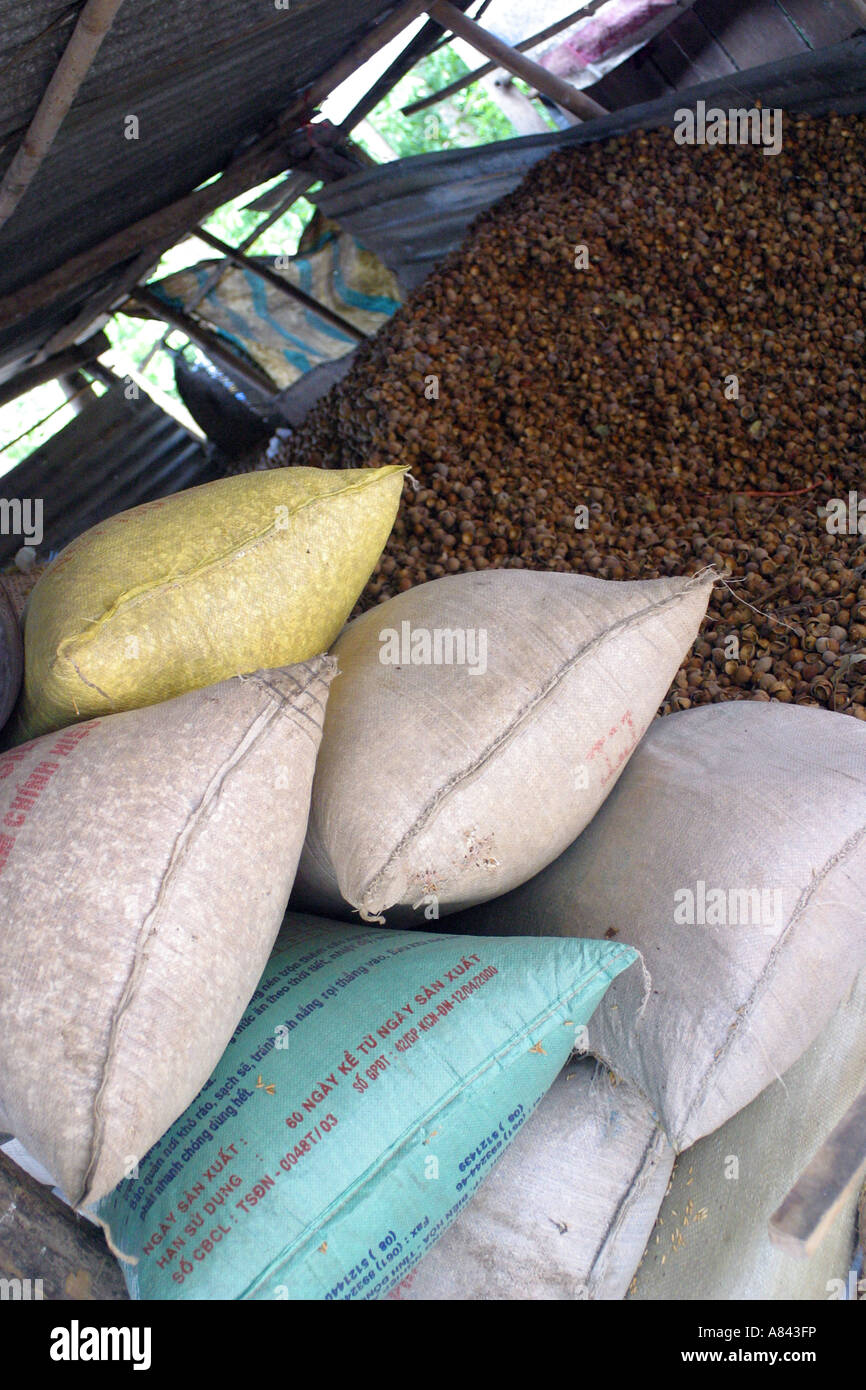 Bags of rice Vietnam Stock Photo - Alamy