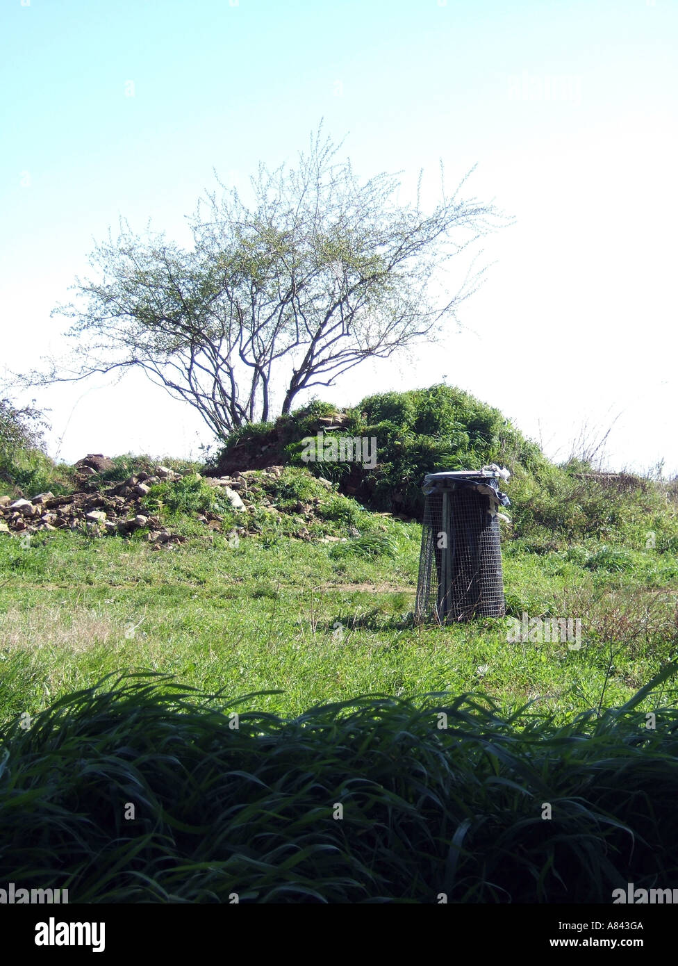 Trees behind the bin hi-res stock photography and images - Alamy