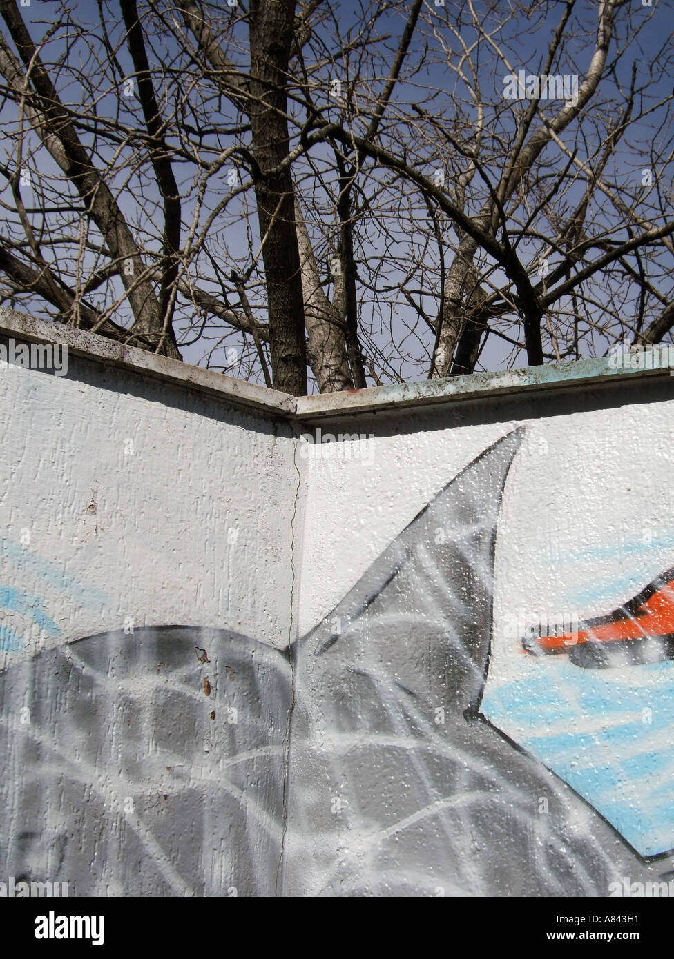 graffiti of shark fin Stock Photo - Alamy