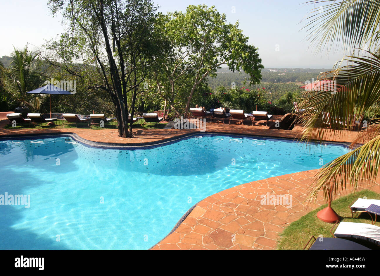 Freeform swimming pool with fountains at th spectacularly designed ...